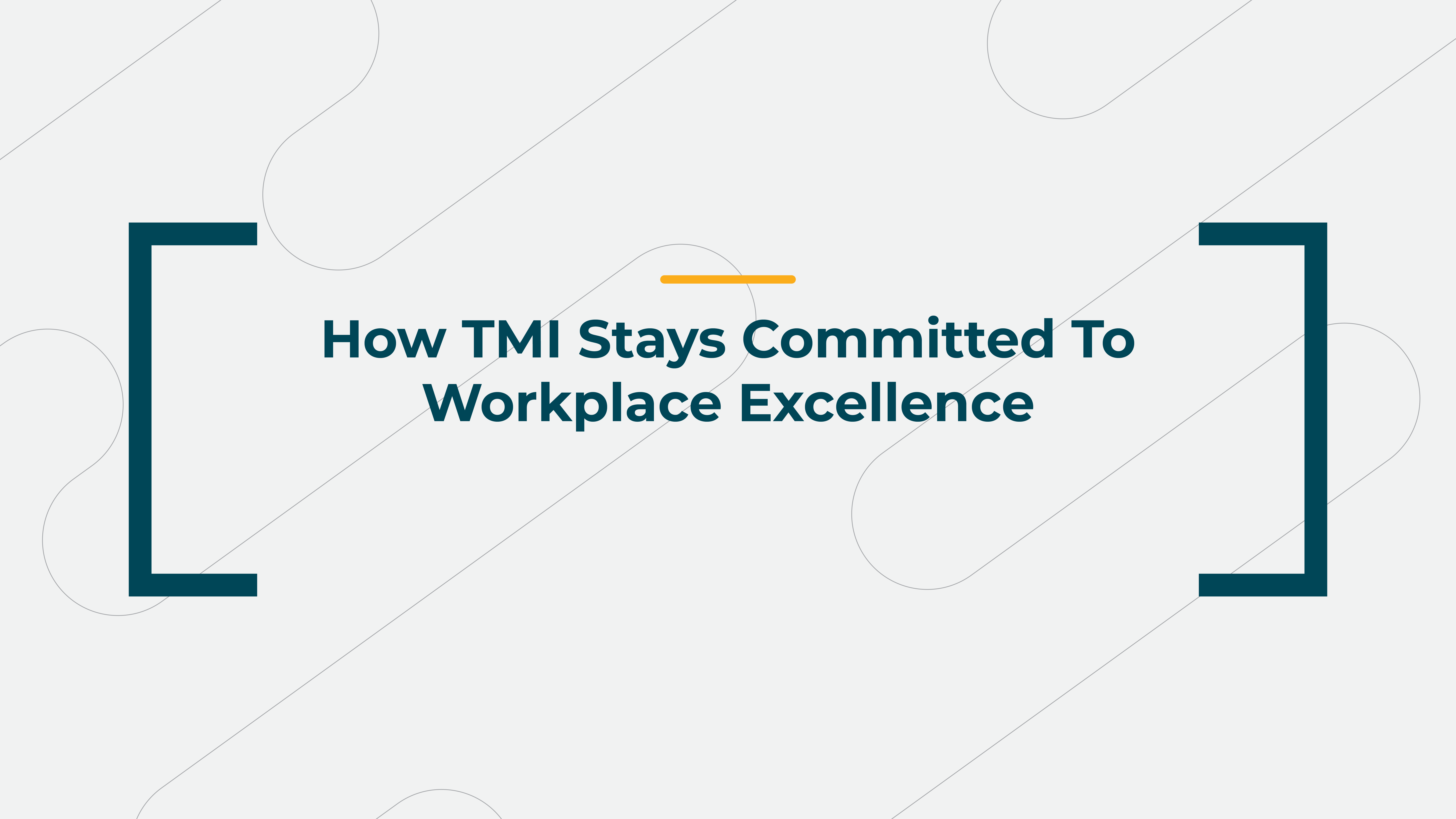 Our Digital Marketing Case Studies | TMI Collective